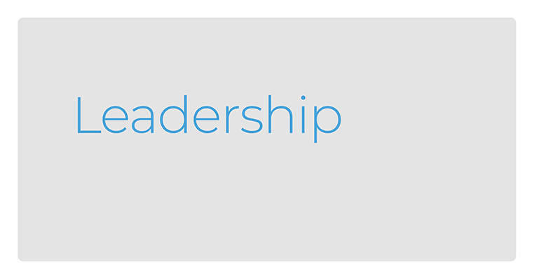 Leadership - CeQur Simplicity